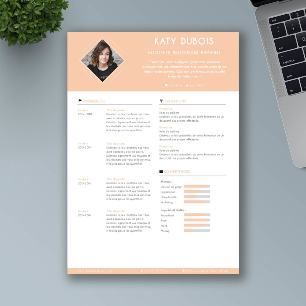 Modèle de CV 2021 à télécharger - CV Word / PowerPoint | Mon Beau CV
